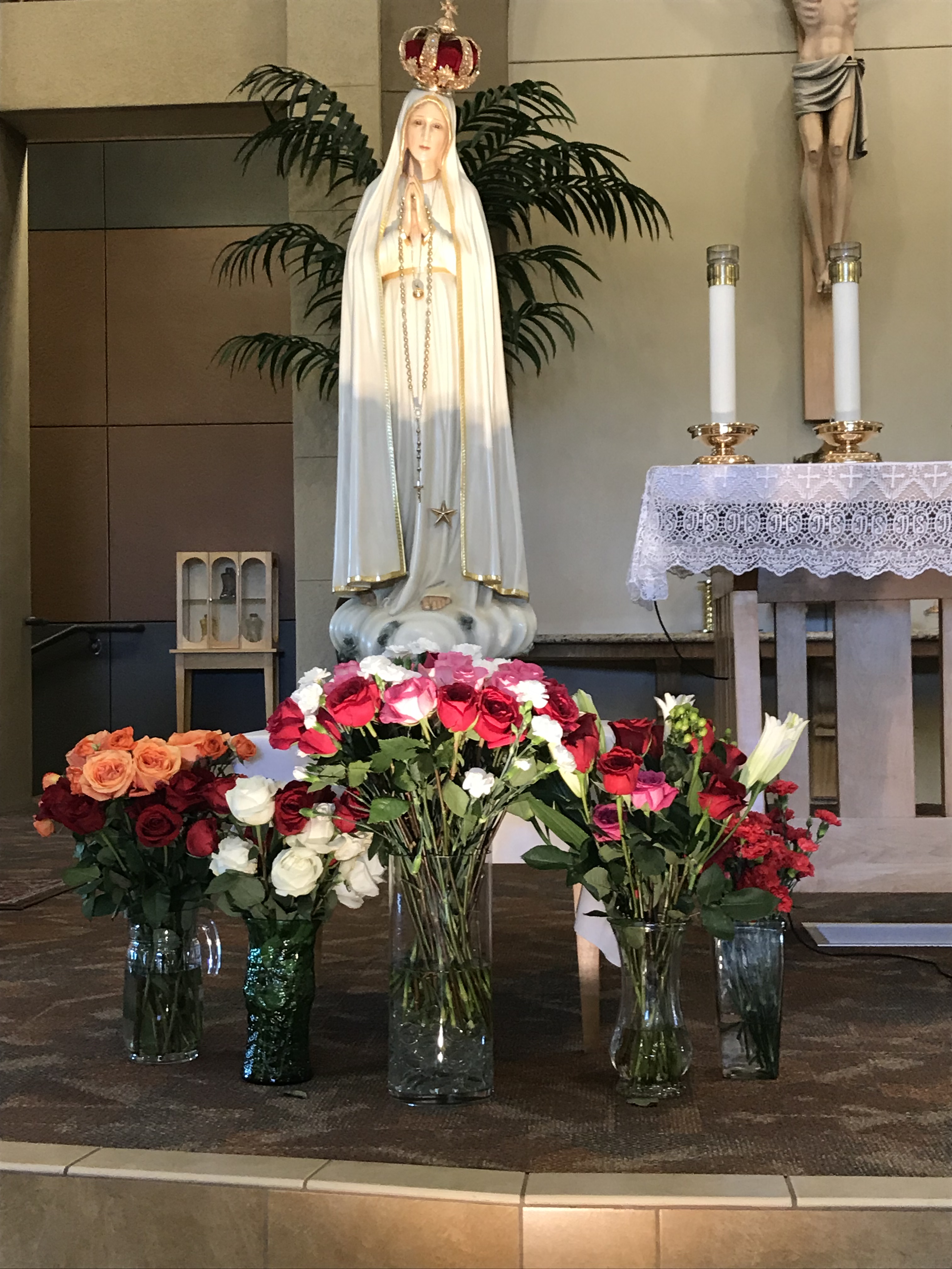 IMG_1530 – TOM PERNA