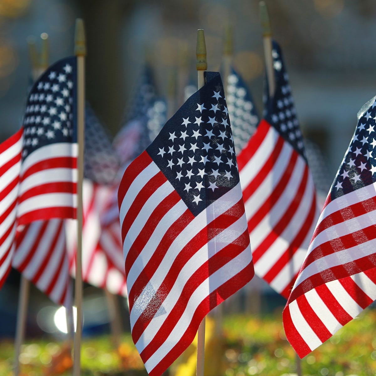 Pray for Our Veterans 2020 – TOM PERNA